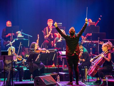 Seattle Live Music Guide - EverOut