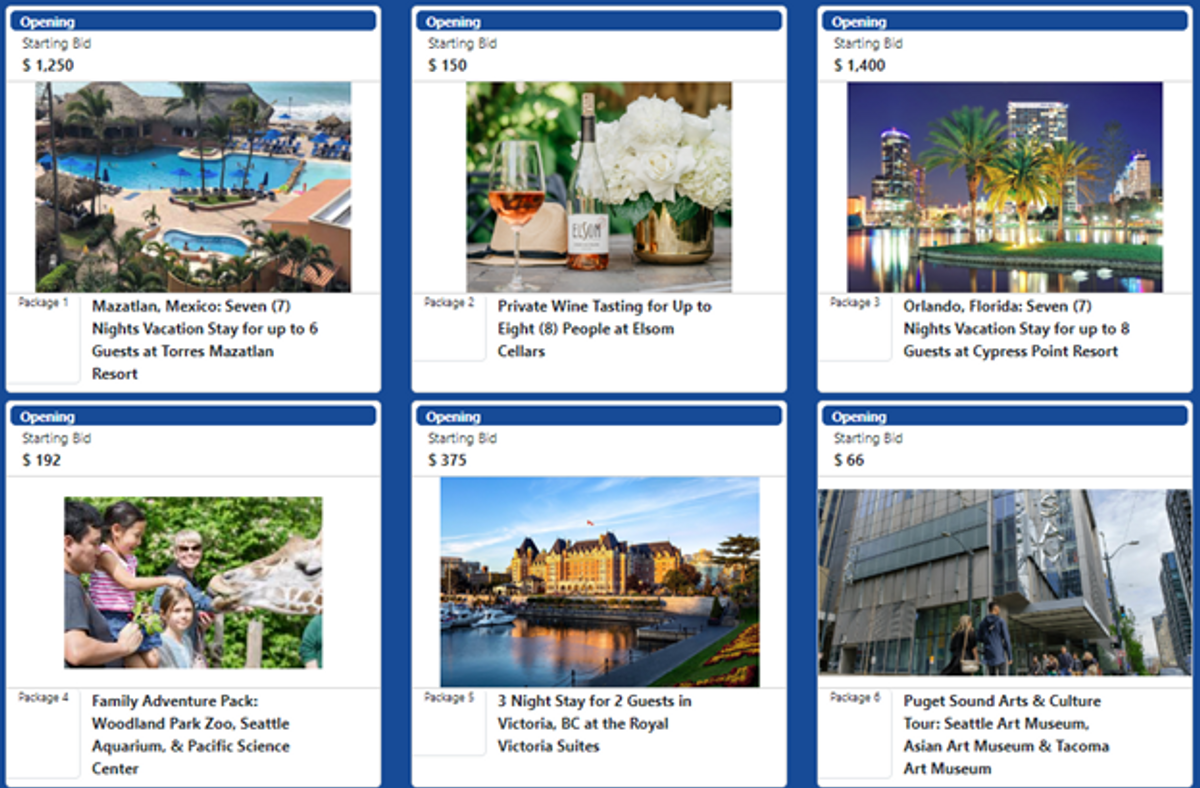 St VIncent de Paul of Seattle | King County Online Charity Auction ...