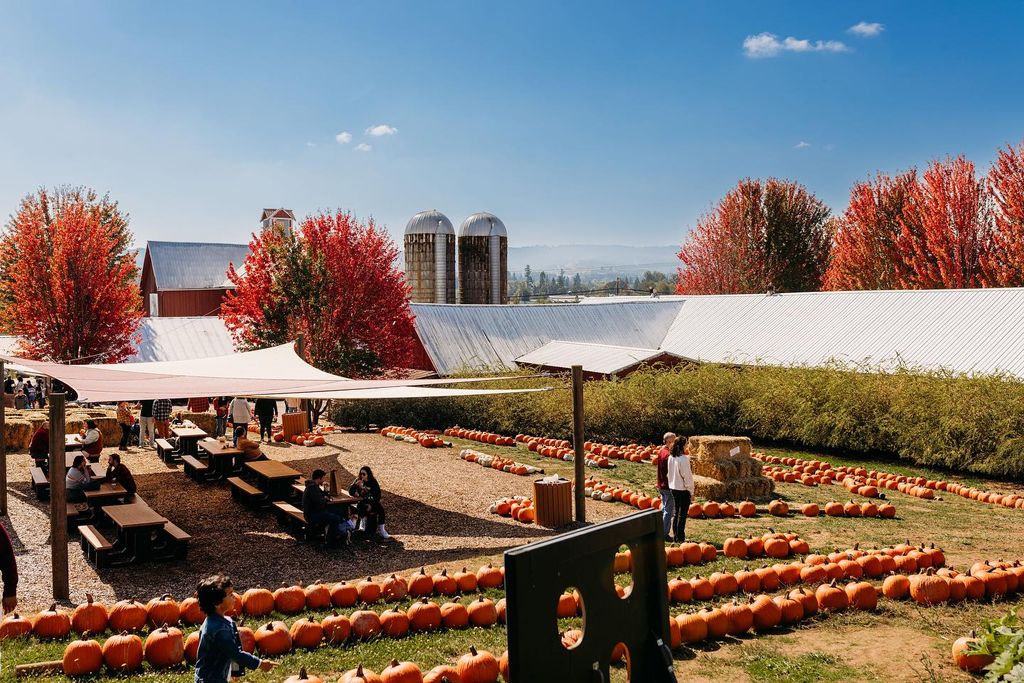 Your Guide to 2024 Fall Festivities Around Portland - EverOut Portland