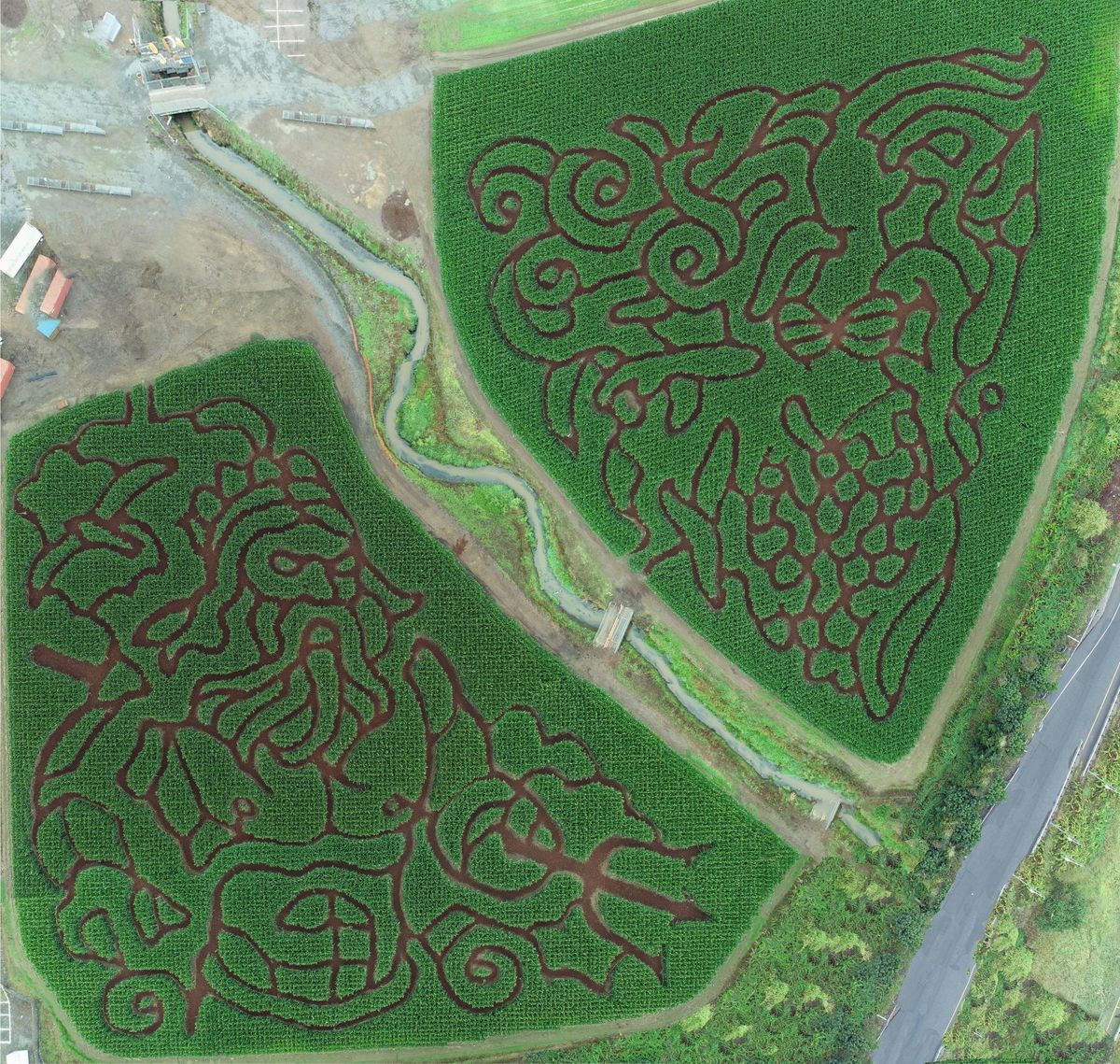 Carpinito Bros. Pumpkin Patch & Corn Maze at Carpinito Brothers in Kent ...