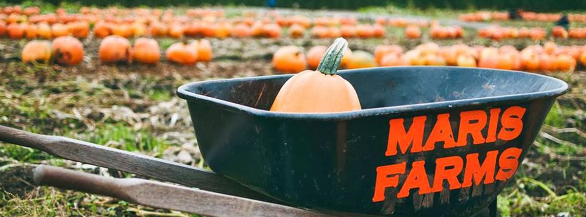 Fall at Maris Farms at Maris Farms in Buckley, WA - Every day, through ...