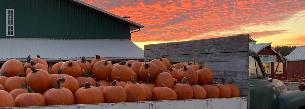 Schilter Family Farm Fall Harvest Festival at Schilter Farms in Olympia ...