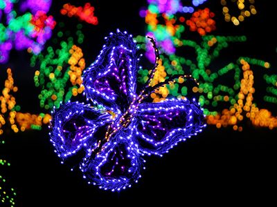 Seattle Events Calendar, Restaurants, Art, Movies, and Recommendations ...