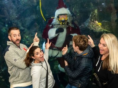 Seattle Community Events Calendar - EverOut Seattle