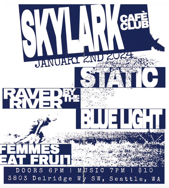 Static, Razed by the River, Blue Light, and Femmes Eat Fruit at Skylark ...