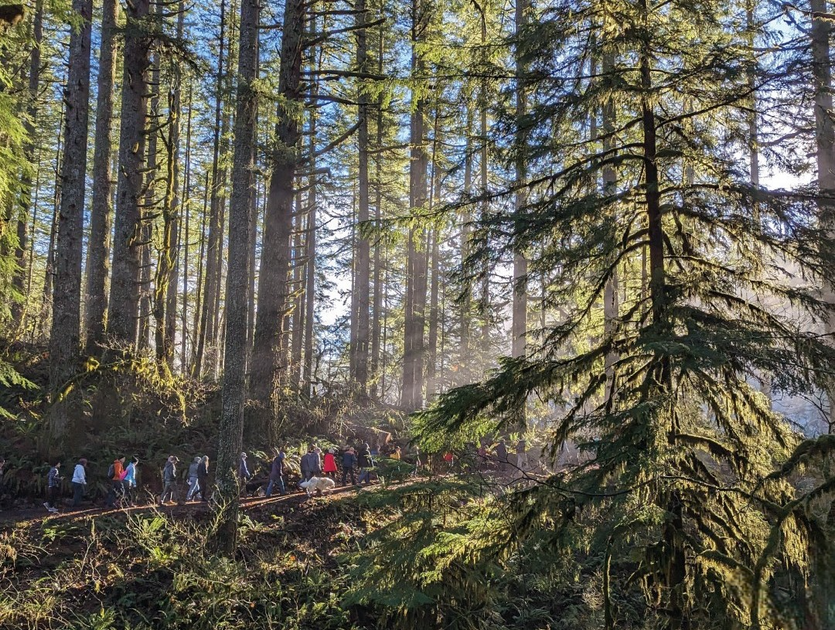 The Top 37 Events in Portland This Week: Dec 30, 2024–Jan 5, 2025 ...