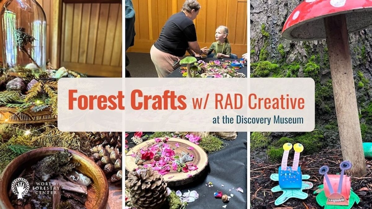 Forest Crafts at World Forestry Center & Discovery Museum in Portland ...
